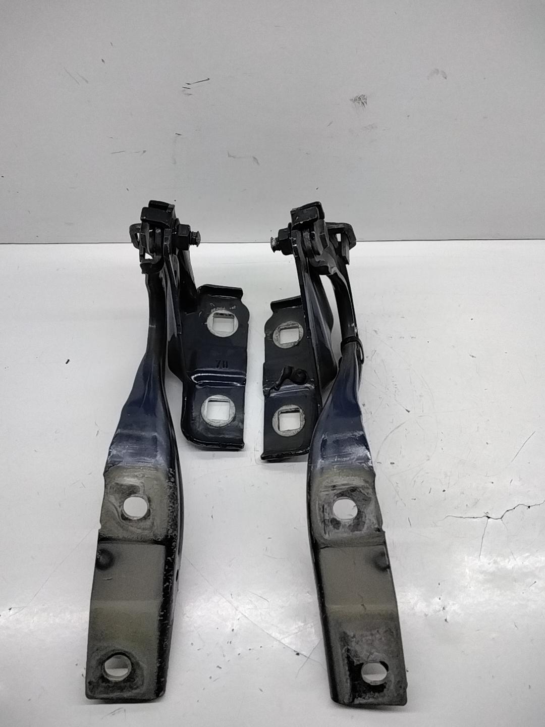 CERNIERE COFANO ANTERIORE DX E SX FIAT 500 L Serie (351_352) (12) Benzi 1124718