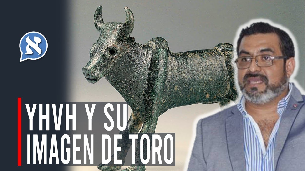 Significado del Toro: Descubre su simbolismo