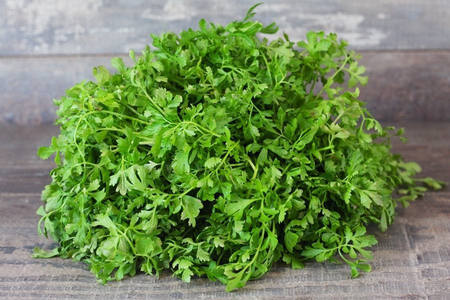 Cresson alénois : La plante idéale pour une cure d’énergie au quotidien