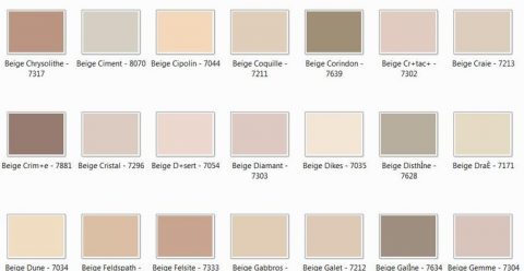 Couleur taupe : Nos précieuses astuces pour bien l’utiliser
