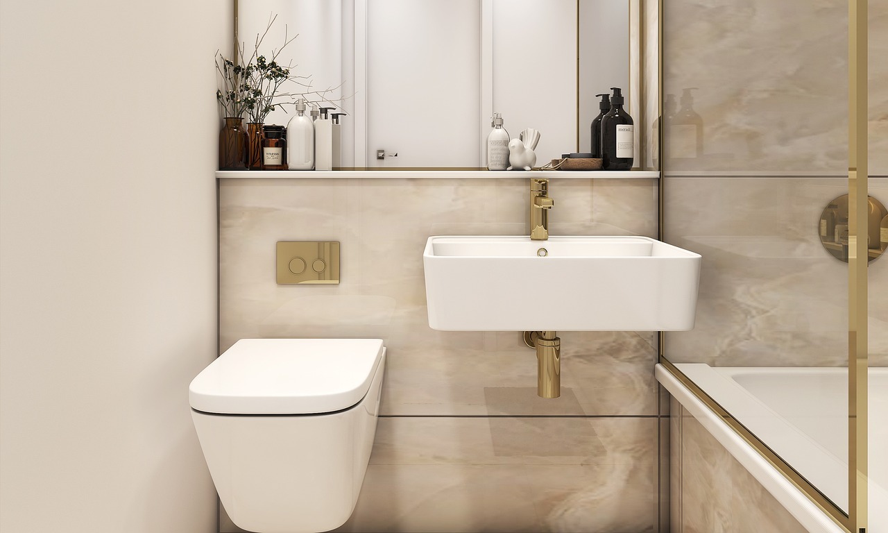 Comment Réparer Des Toilettes Qui Fuient Vintagepeople